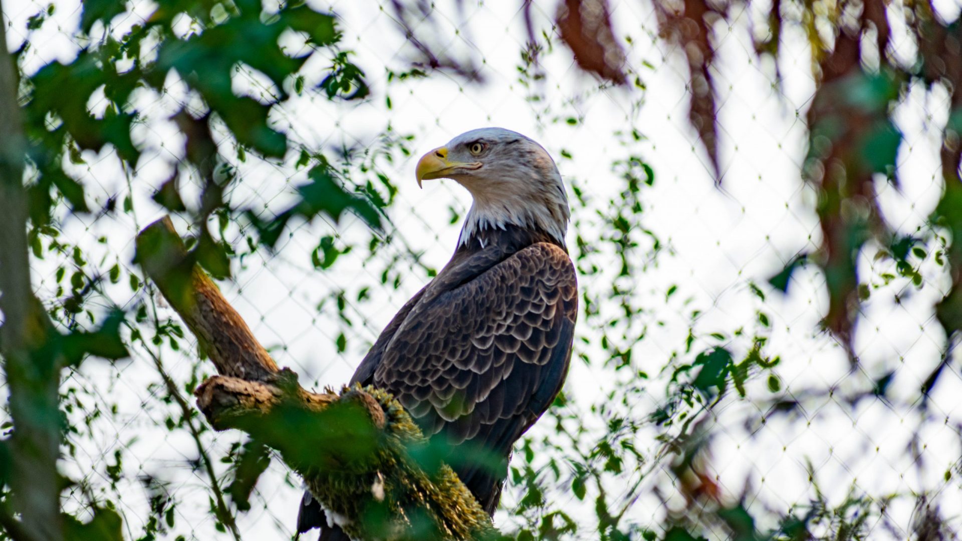 Sampson Photography – An Eye On The World